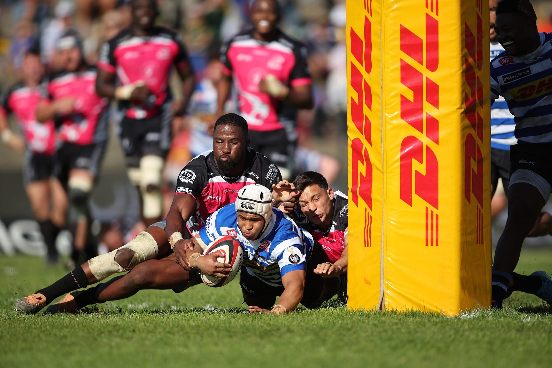 DHL Western Province vs Airlink Pumas - Events Cape Town
